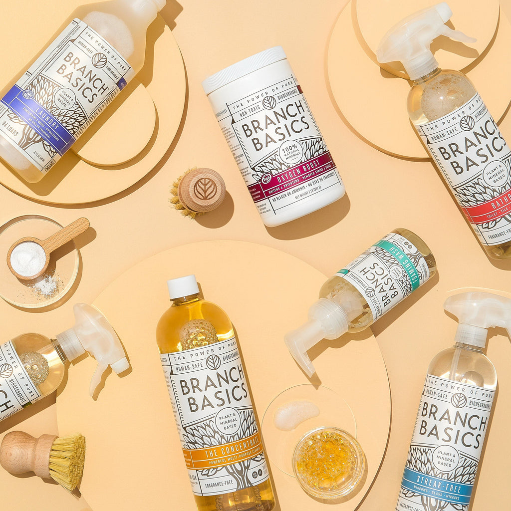 Substitutes for Ammonia: 5 Cleaning Alternatives