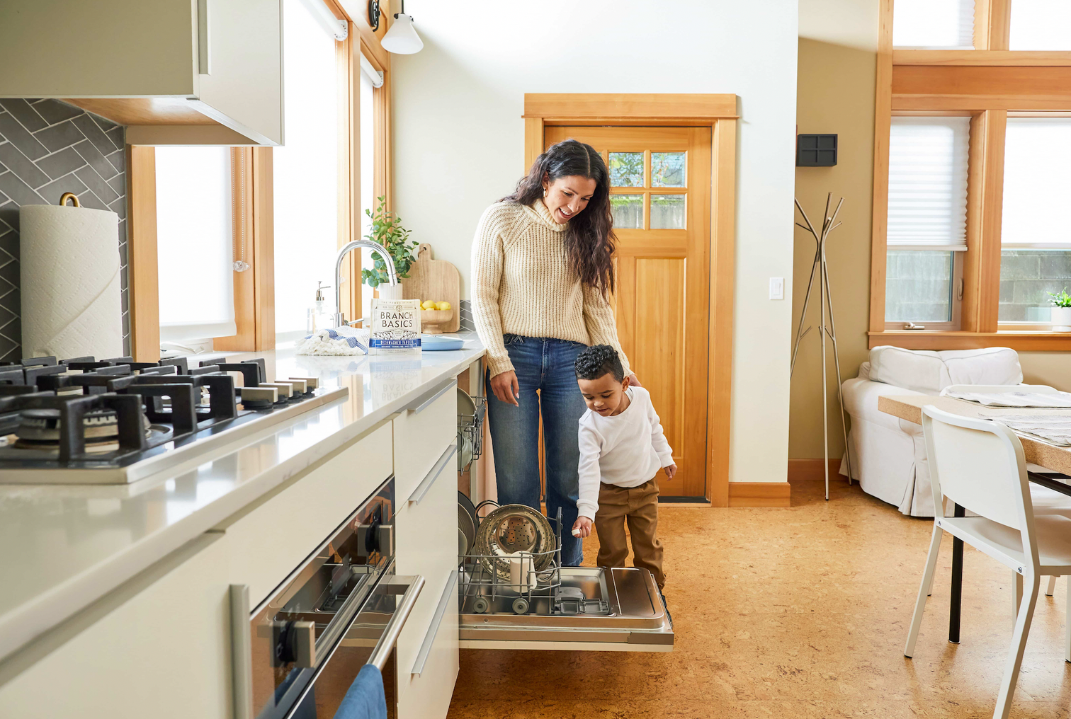 6 Natural Alternatives to Dish Soap & Dishwasher Detergent | Branch Basics