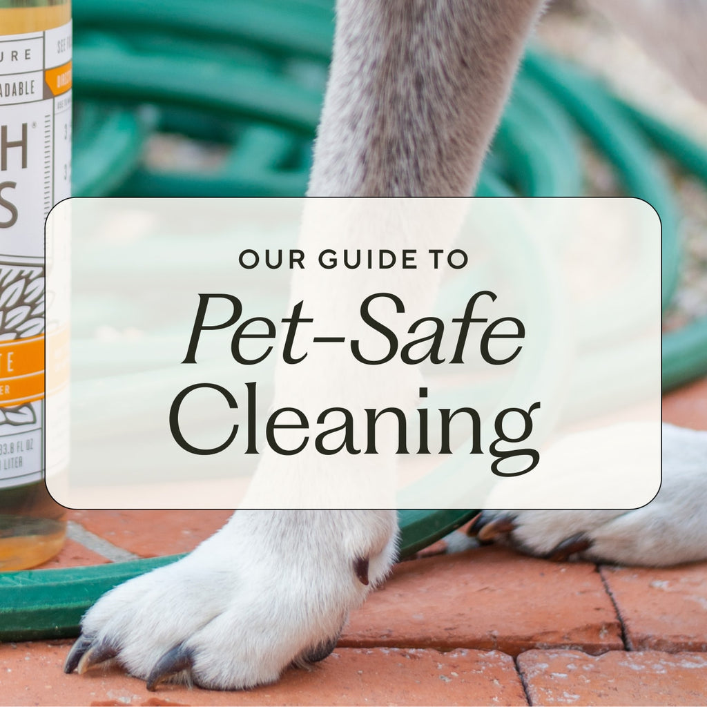Our Guide To Pet-Safe Cleaning Products