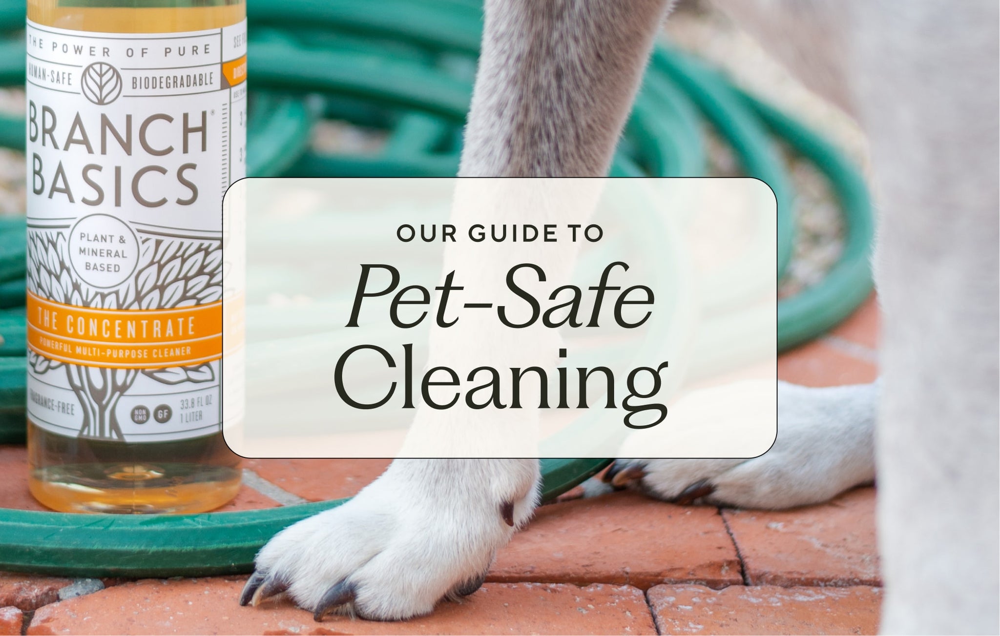 Our Guide To Pet-Safe Cleaning Products