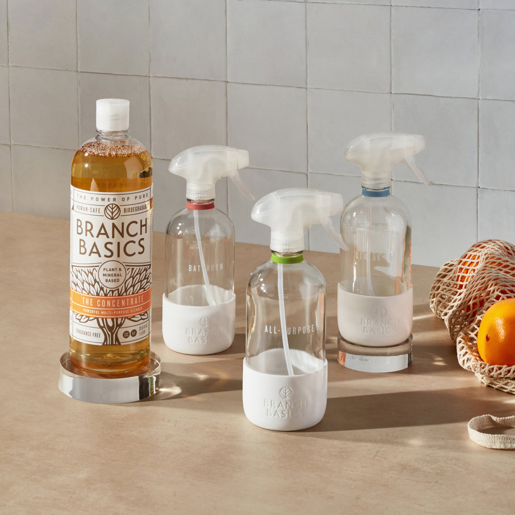 Glass Starter Kit: Human Safe Cleaning Products | Branch Basics