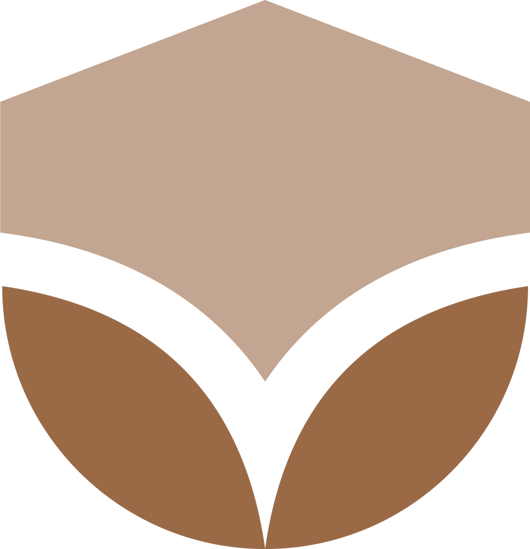 Glass Starter Kit: Non-Toxic Cleaning Products | Branch Basics