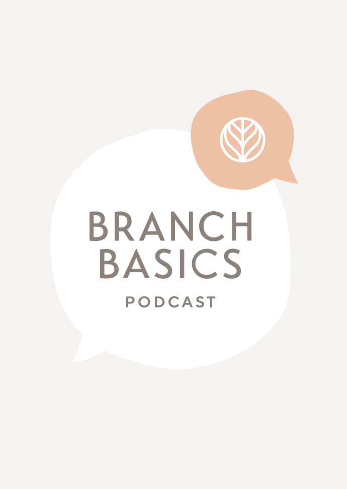 Branch Basics - Non-Toxic Cleaning Products